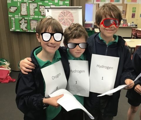 Become an Institutional Donor - Einstein-First Project