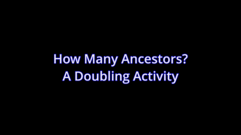 Activity Demonstration Videos - Einstein-First Project