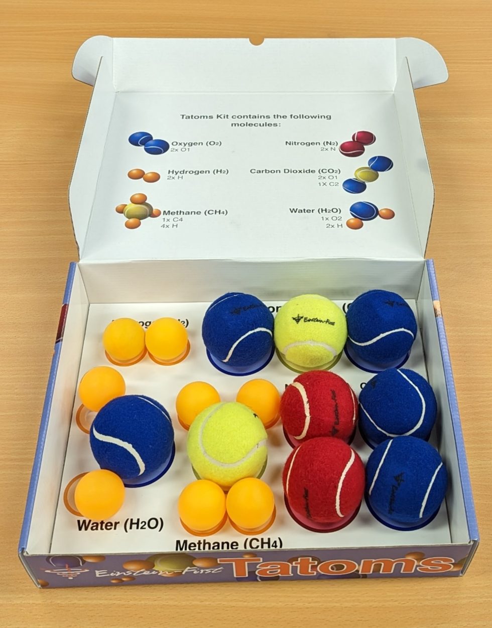 Become a Donor - Einstein-First Project