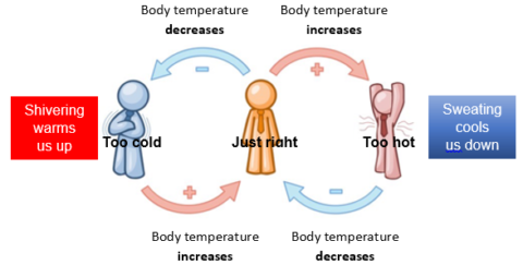 HS - Lesson 7 - Einstein-First Project